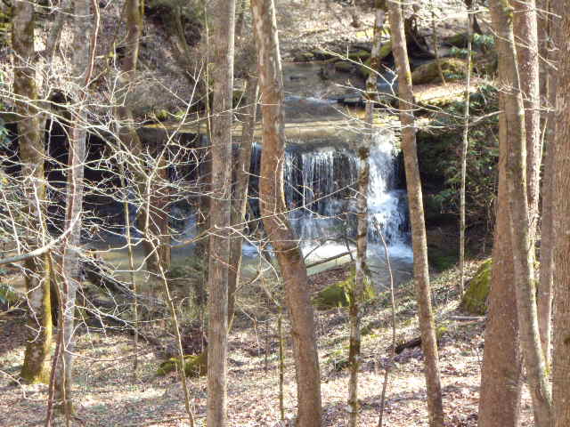 Redbird Crest Trail - Daniel Boone National Forest